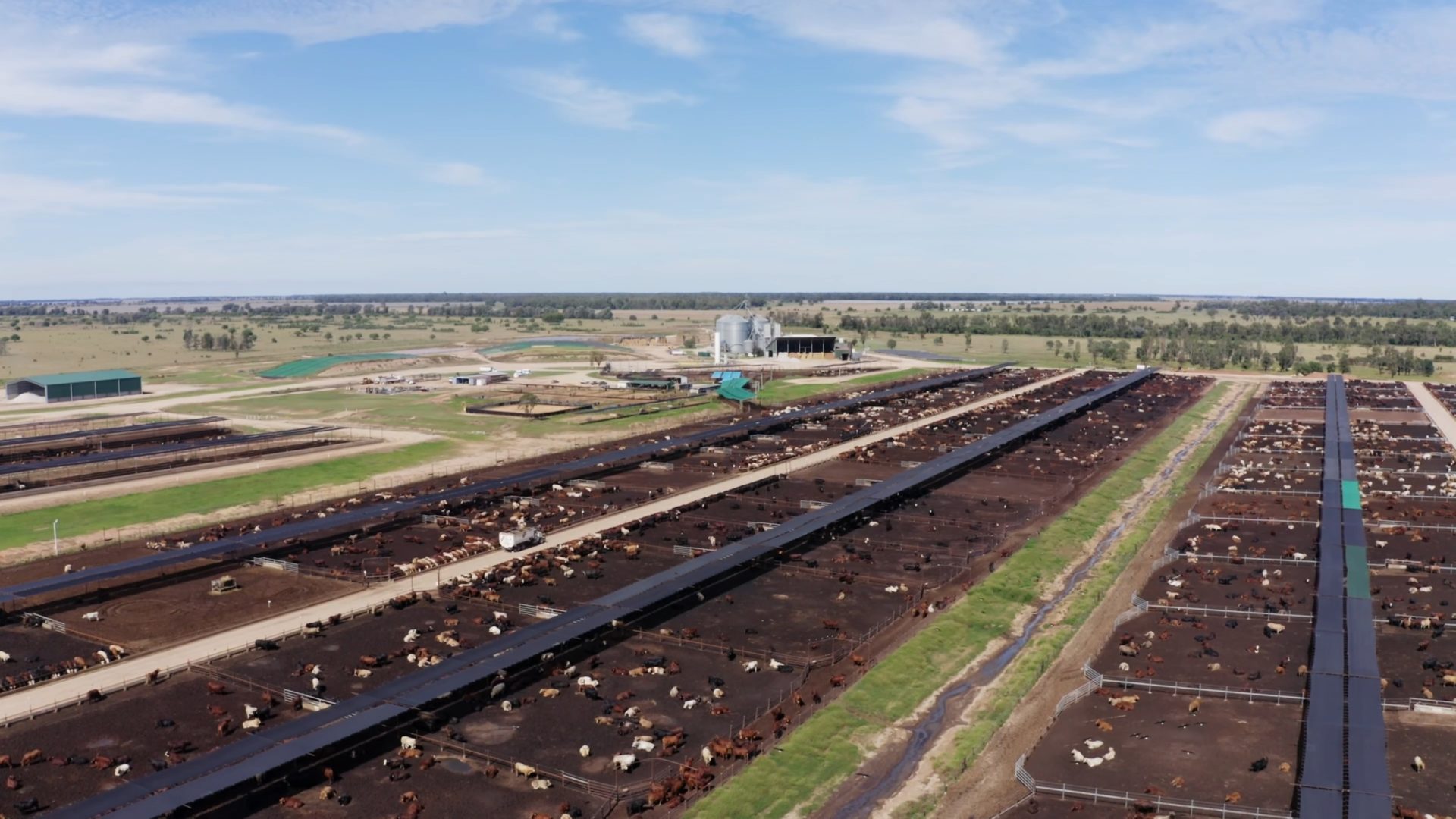 YoungStar matting solution for Teys Australia Condamine Feedlot ...